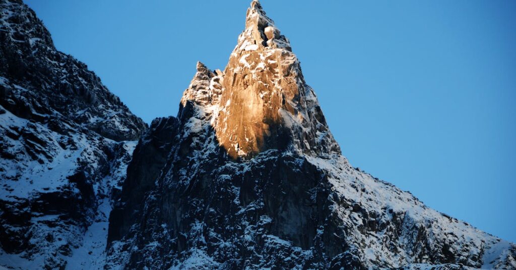 Vertigo | Pulse Align