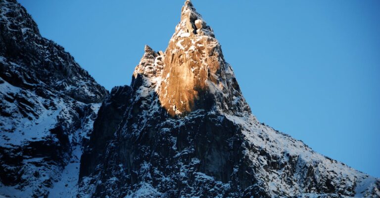 Vertigo | Pulse Align