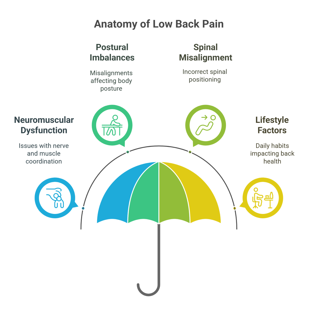 Low Back Pain & Sciatica | Pulse Align