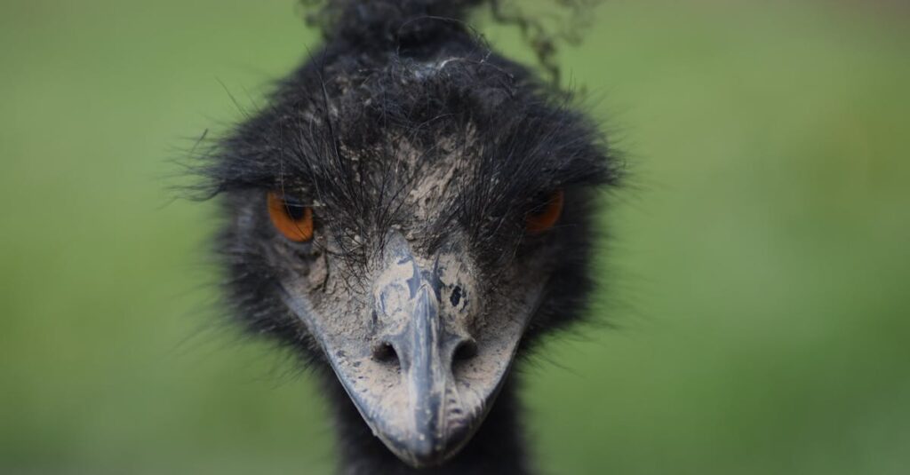 10 exercices clés pour un dos sain et une meilleure posture - Pulse Align